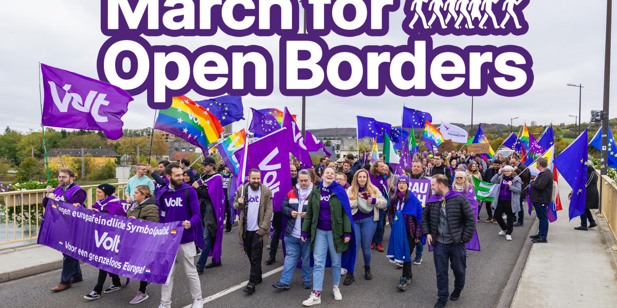 volt mitglied werden